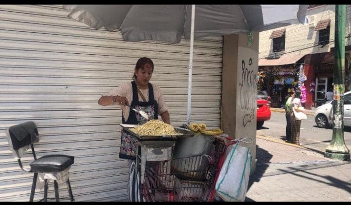 Comercio Informal: sin derechos laborales » El Pulso Edomex